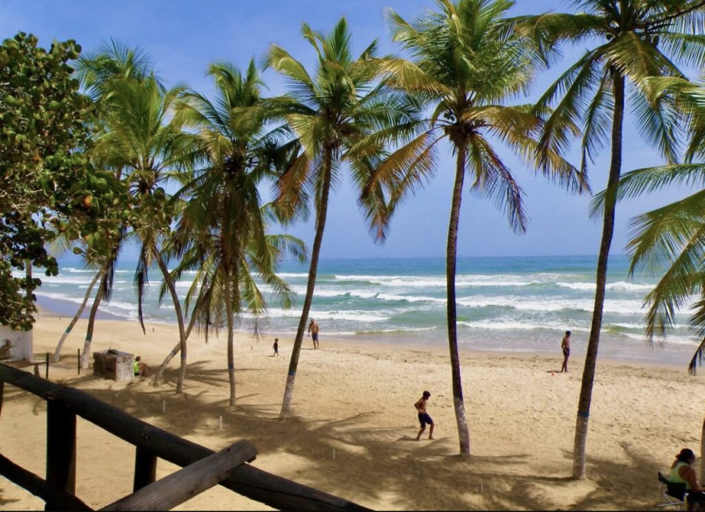 Flips Crunchy Crema: el nuevo producto con que Flips sorprende en la ...